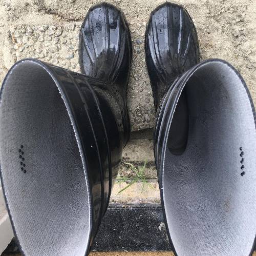 PVC vs Rubber Rain Boots (Which One You Should Choose)
